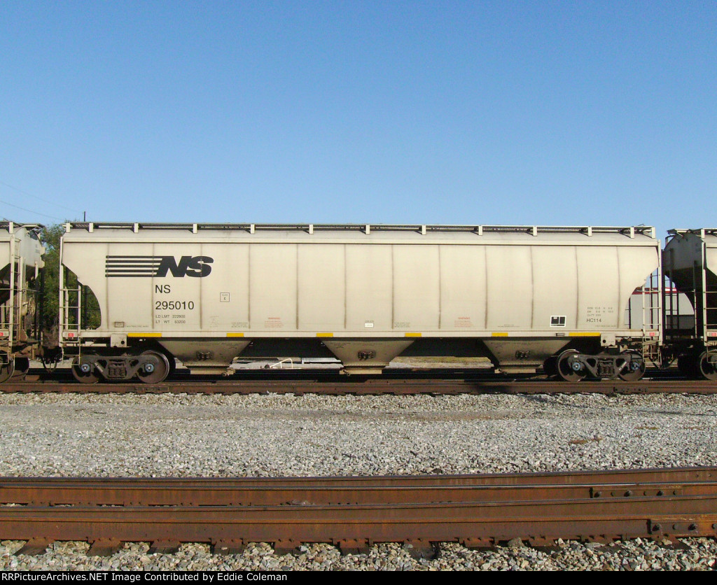 NS 295010